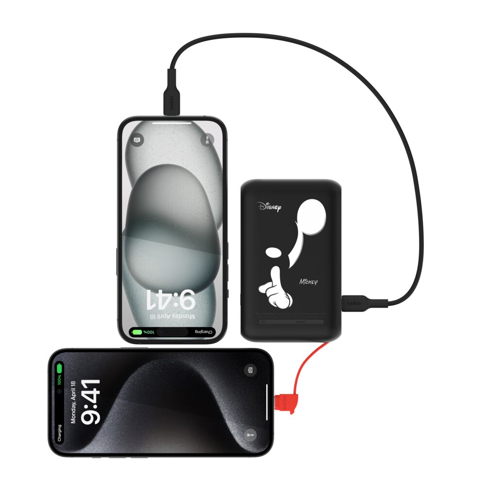 Portable Power Bank with Integrated Cable 10K (Disney Collection ...