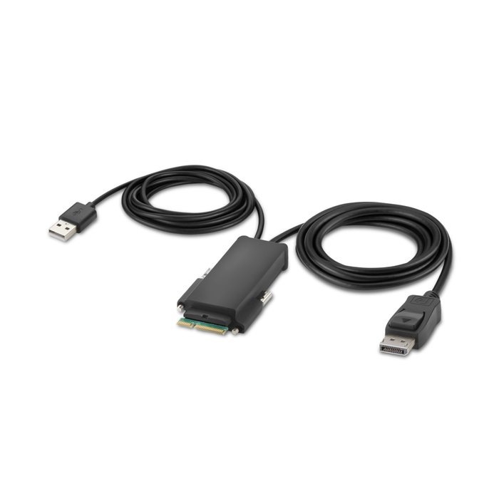 Modular DP Single Head Host Cable - 6ft / 1.8m | Belkin | Belkin NL