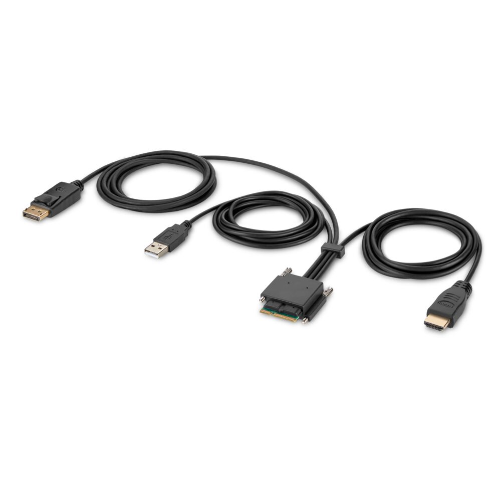Modular HDMI & DP Dual Head Host Cable - 6ft / 1.8m | Belkin CA