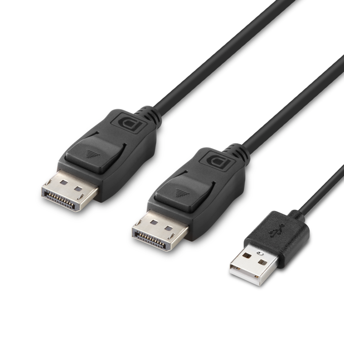 Modular DP Dual Head Host Cable - 6ft / 1.8m | Belkin | Belkin US