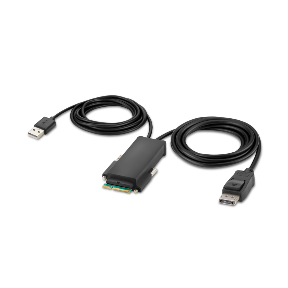 Modular DP Single Head Host Cable - 6ft / 1.8m | Belkin CA