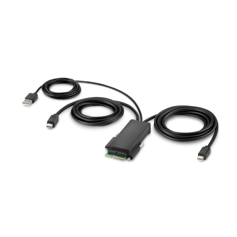 Modular Mini DisplayPort Dual Head Host Cable | Belkin UK